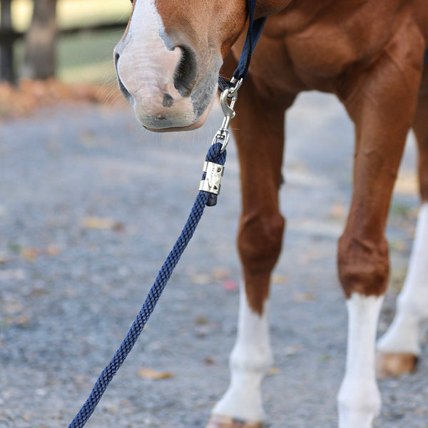 Aurora Elegance Lead rope - The Horse Rug Whisperer