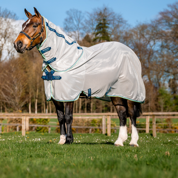 Amigo XL Bug Rug Discfront - The Horse Rug Whisperer