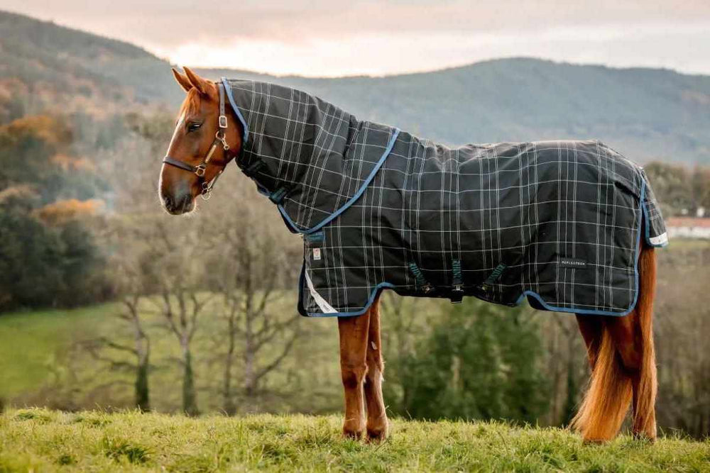 Equestrian shop with beautiful brands for horse and rider