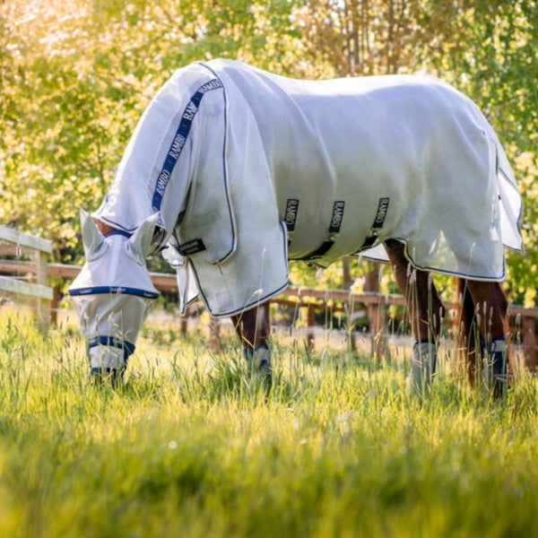Rambo Protector Plus Fly Rug - The Horse Rug Whisperer
